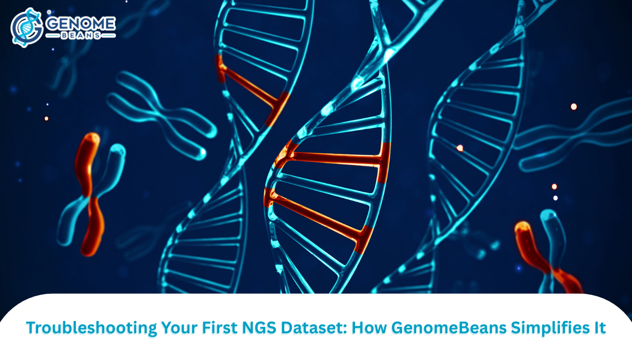 Troubleshooting Your First NGS Dataset: How GenomeBeans Simplifies It